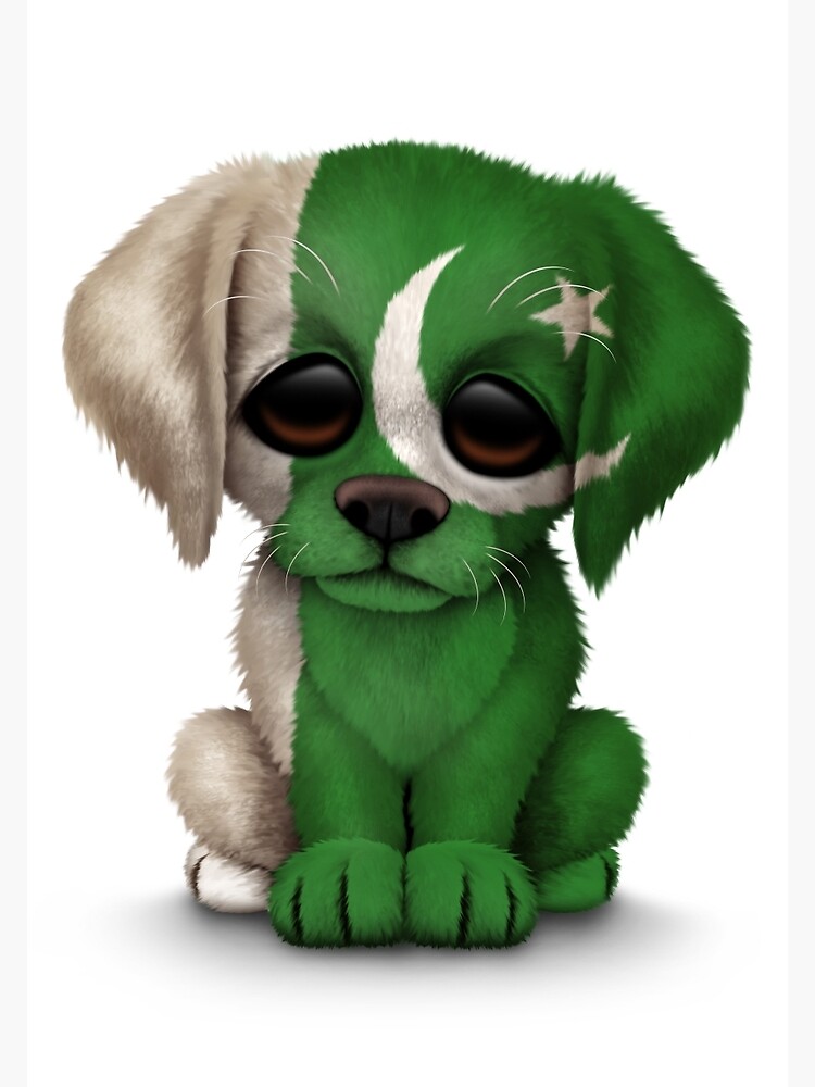 "Cute Patriotic Pakistani Flag Puppy Dog" Poster for Sale by ...
