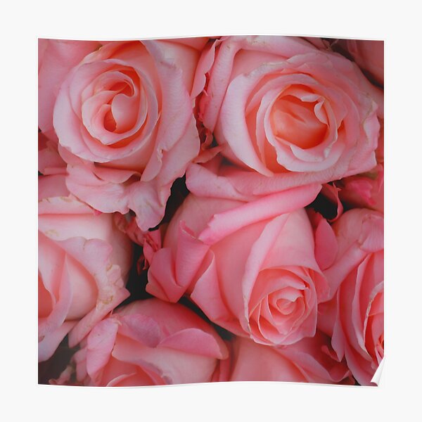 "Romantic Pink Roses Bouquet" Poster for Sale by SaniaWaxir | Redbubble