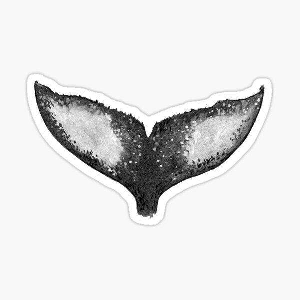 "The Humpback Whale Tail Fluke" Sticker for Sale by VivianasTales ...