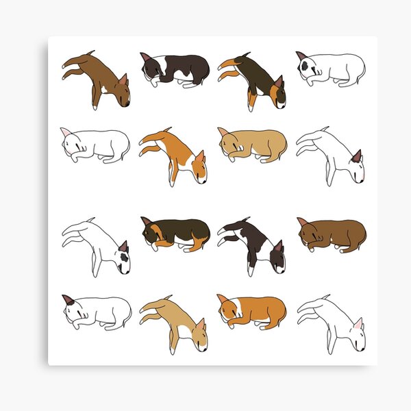 "Lazy Bull Terrier - White" Canvas Print for Sale by Qtea | Redbubble