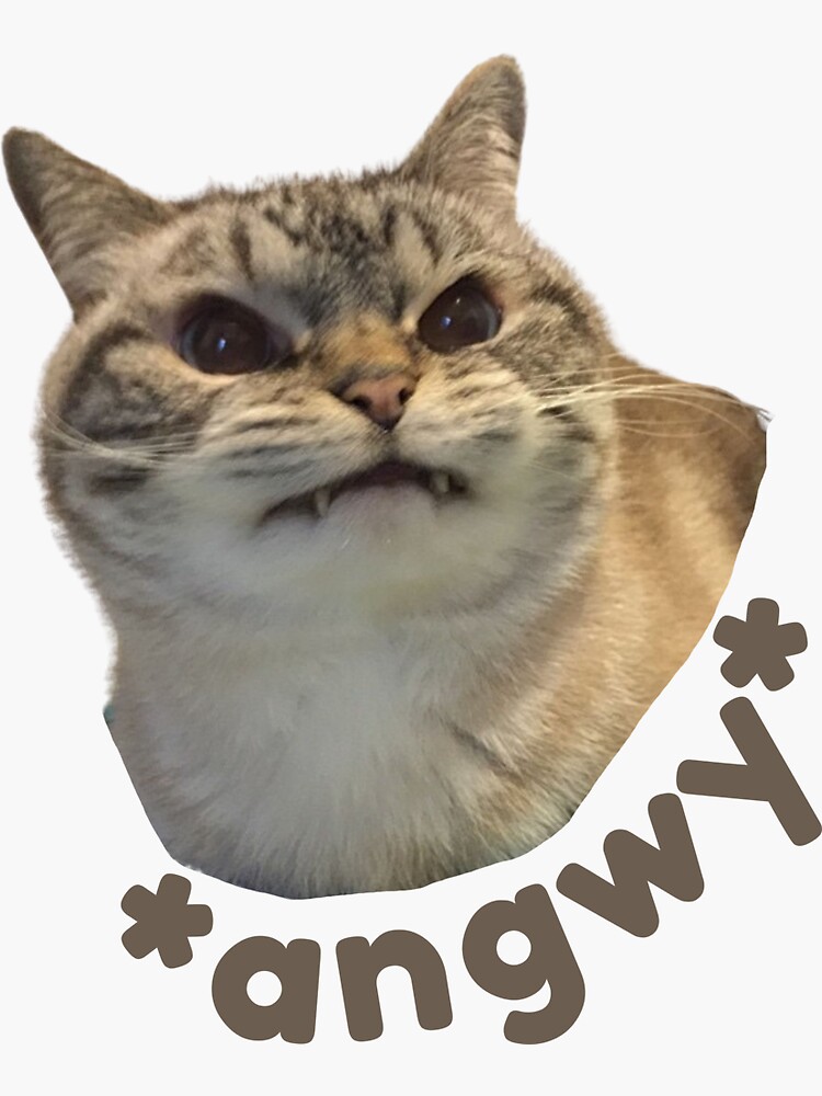 "Angwy Cat Meme" Sticker for Sale by lunajoon | Redbubble