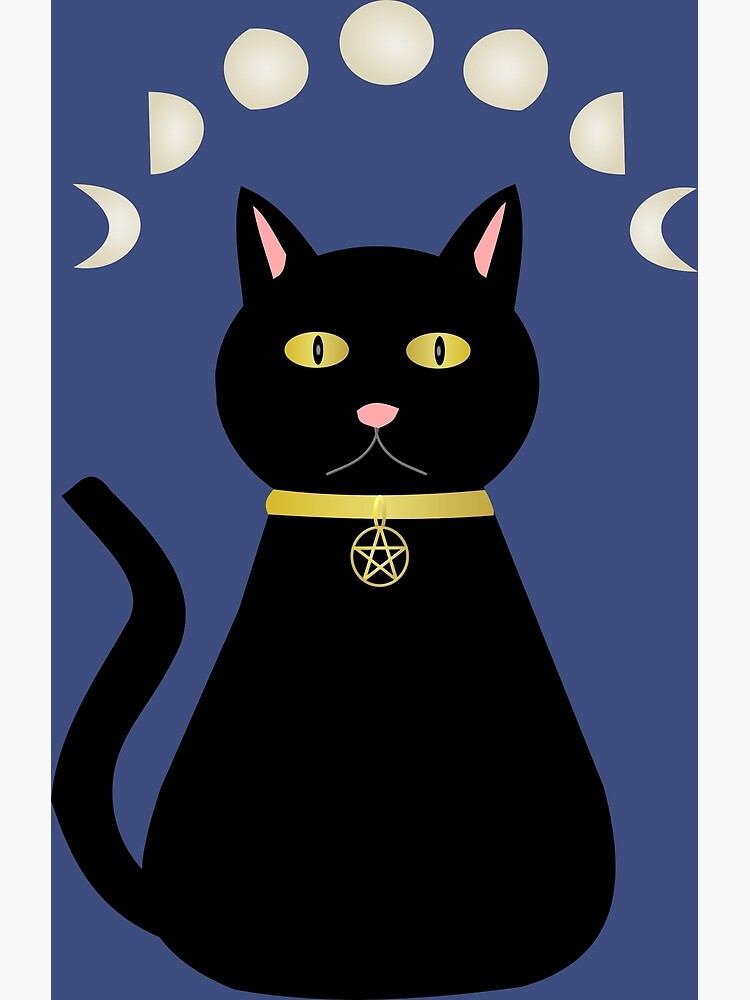 "Witches Cat and Moon Phases" Poster for Sale by naturegallery | Redbubble