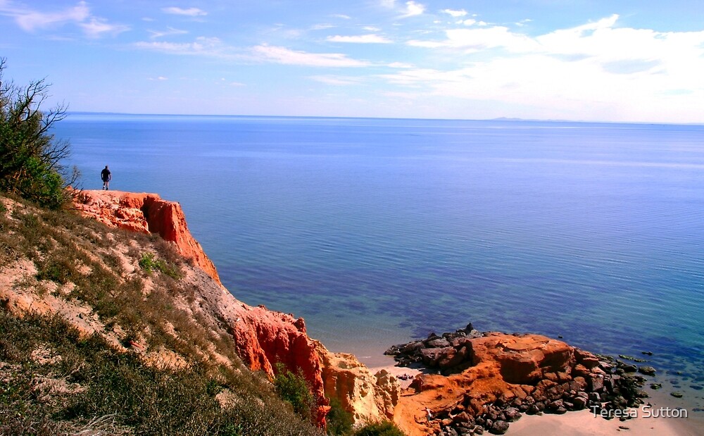 "Man atop Red Bluff - Sandringham - Victoria - Australia" by bayside2 ...