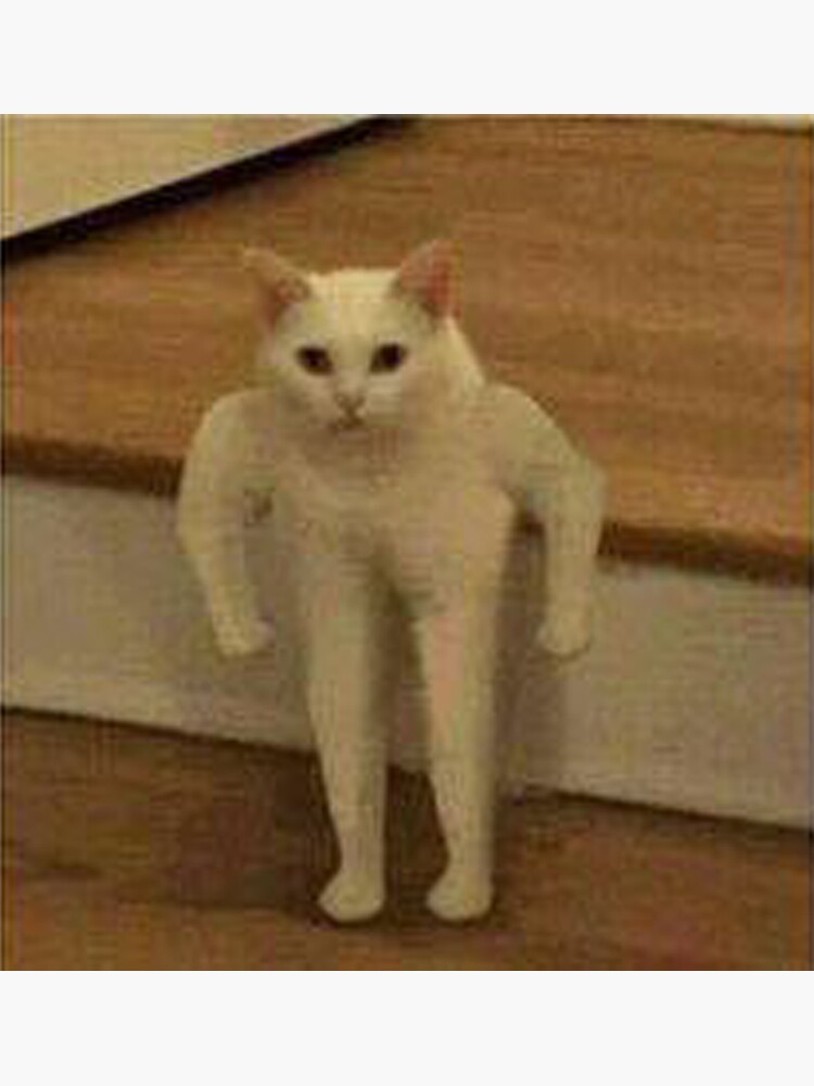 "Buff Stanced Up Cat" Sticker for Sale by RarePNGs | Redbubble