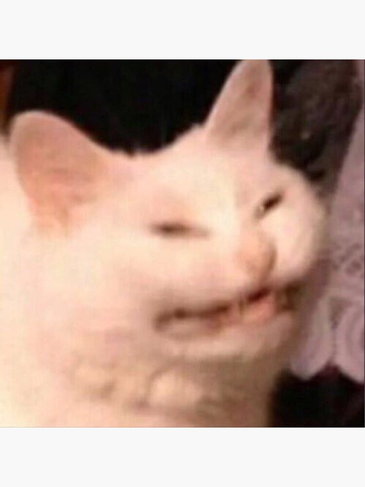 "Pain Cat Disturbance" Sticker for Sale by RarePNGs | Redbubble