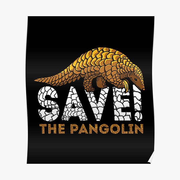 "Save The Endangered Pangolin " Poster by roocky | Redbubble