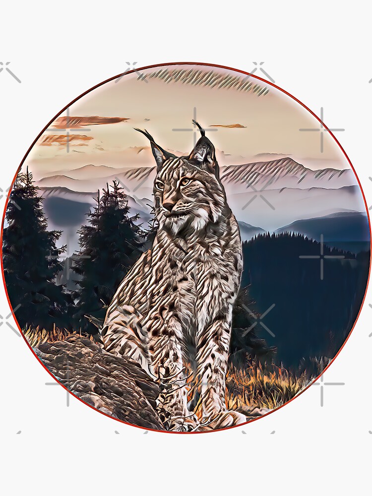 "Bobcats wild cat freedom" Sticker by umfhn | Redbubble
