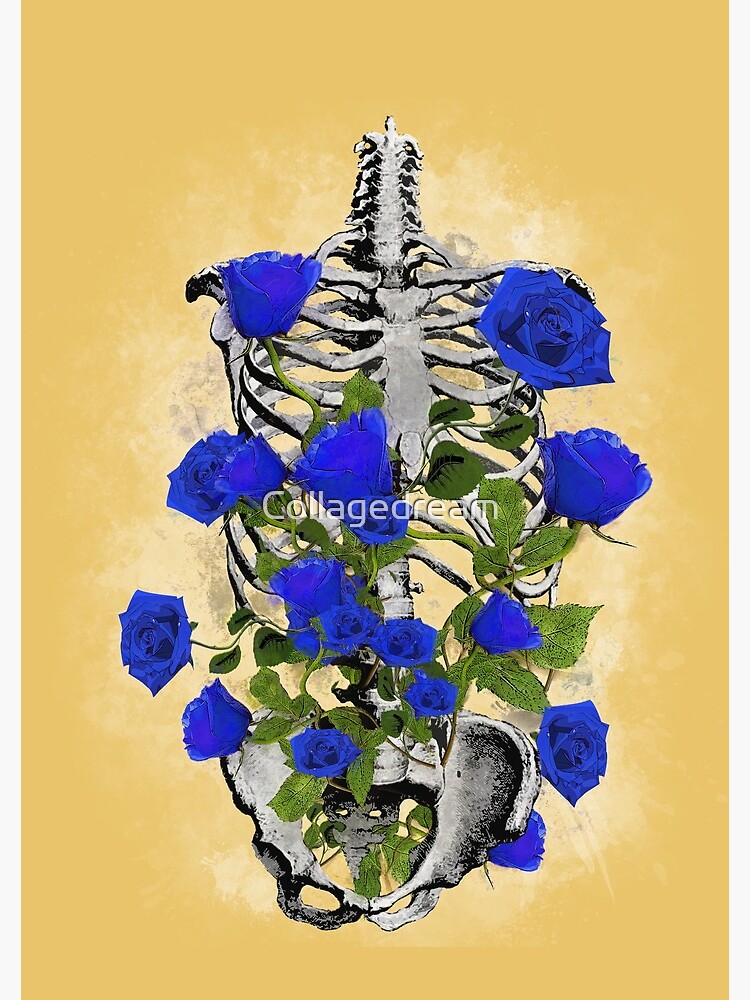 "Botanical blue roses anatomy, rib cage, pelvis, roses skeleton" Spiral ...