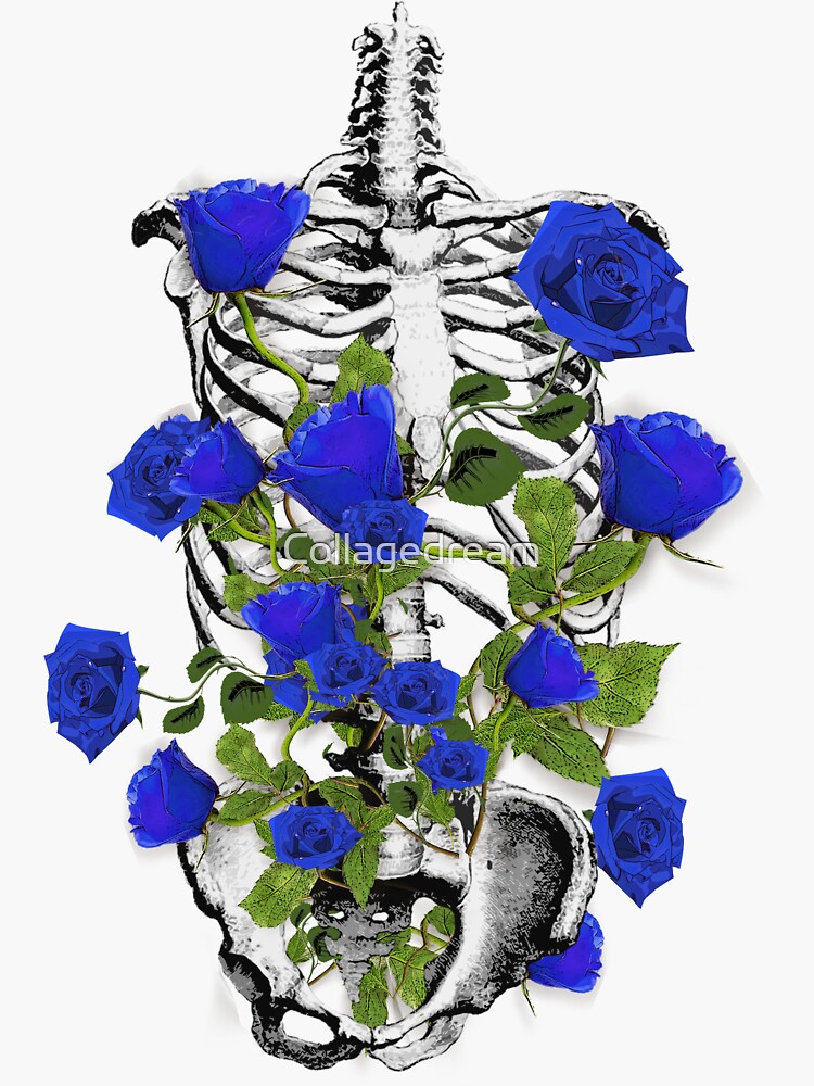 "Botanical blue roses anatomy, rib cage, pelvis, roses skeleton ...