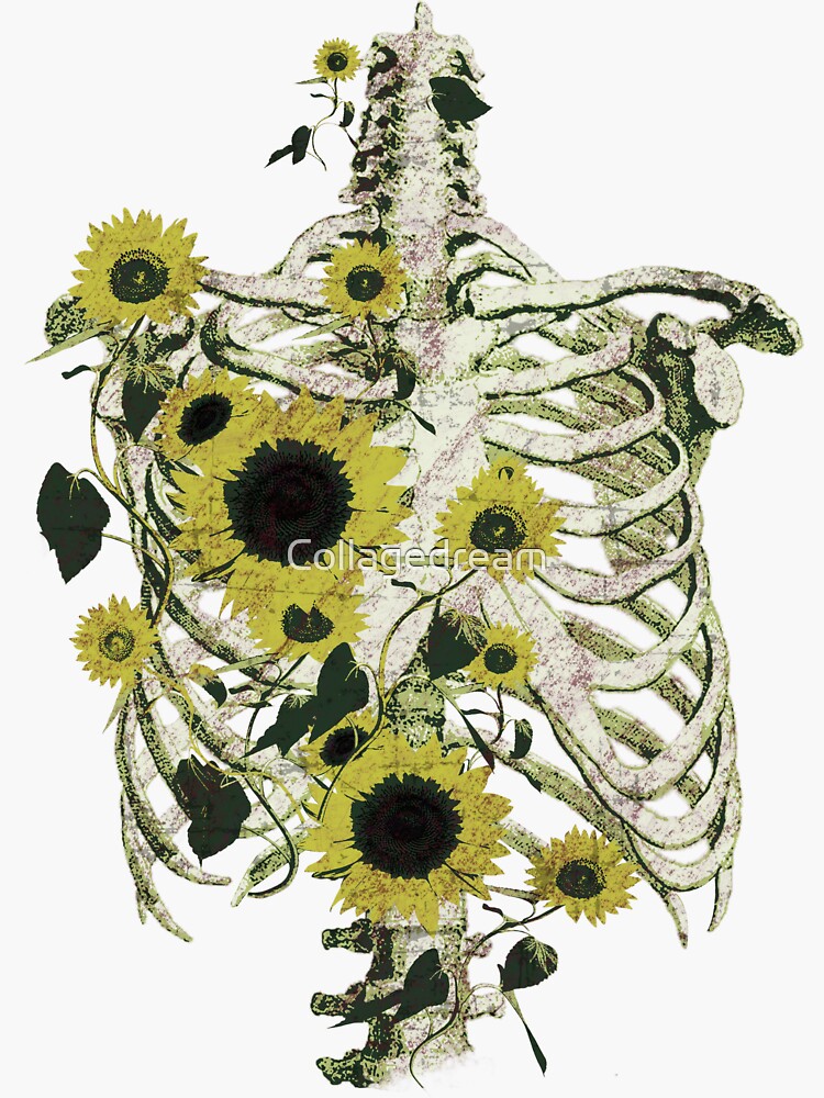 "Rib cage and flowers, ribcage, human skeleton art, vintage style ...
