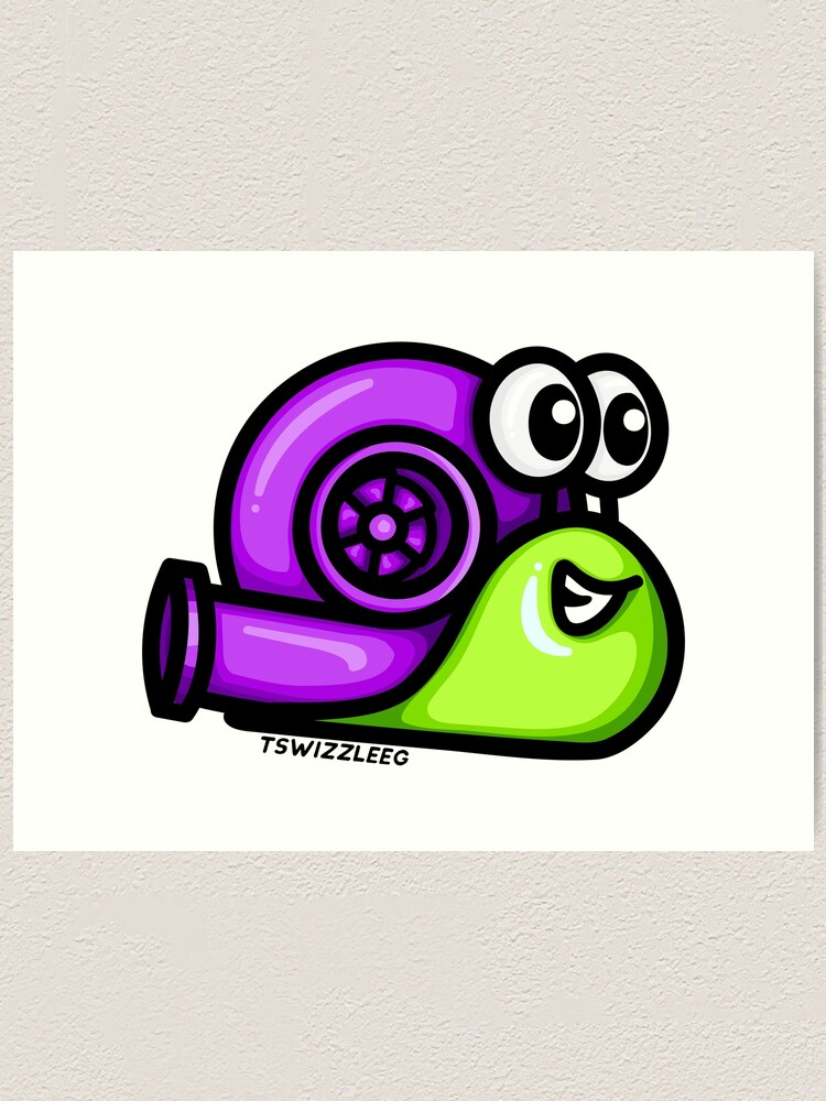 Turbo Snail Drawing