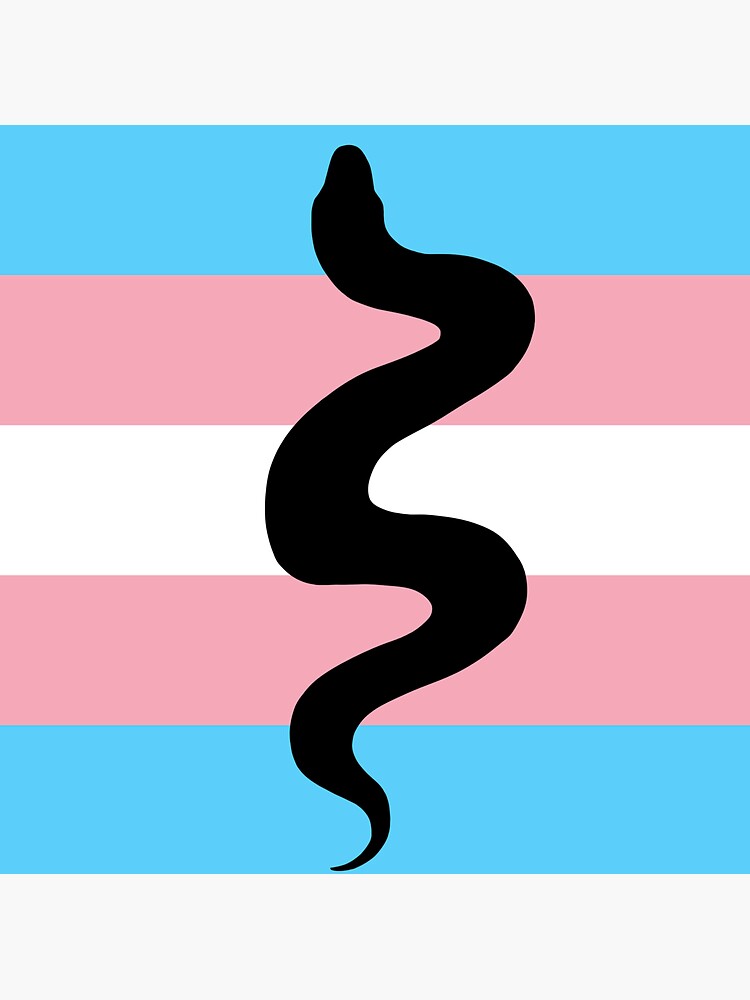 "Trans Pride Flag Snake" Sticker for Sale by Draginous | Redbubble