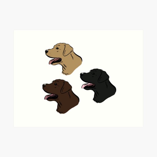 "My Three Labradors " Art Print for Sale by rmcbuckeye | Redbubble