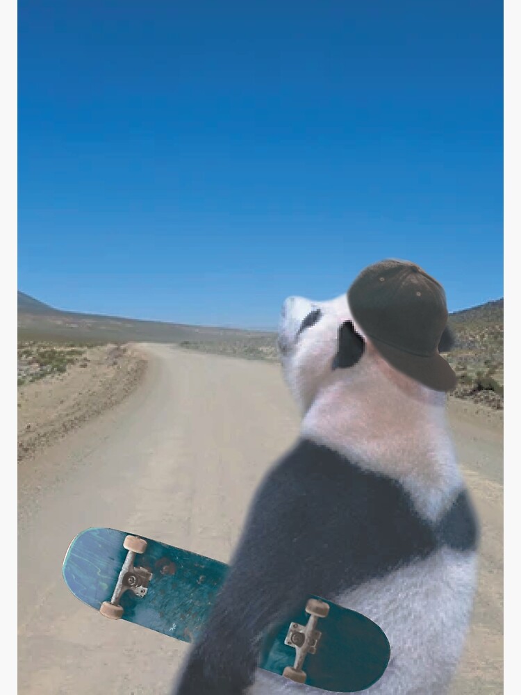 "Skater Panda In Desert" Poster by AlexMancic | Redbubble