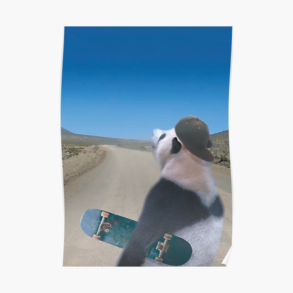 "Skater Panda In Desert" Poster by AlexMancic | Redbubble
