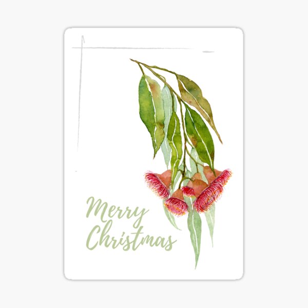 "Merry Christmas Australian gum blossom" Sticker for Sale by ArtbyJudyB ...