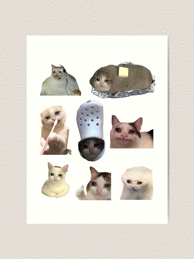 "Crying Cat Meme Pack-8 cats meme" Art Print for Sale by SaminBin ...