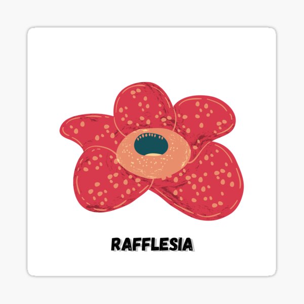 fieyllastore Shop | Redbubble