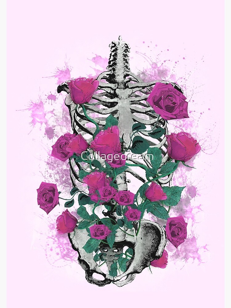 "Botanical pink roses anatomy, rib cage, pelvis, roses skeleton ...
