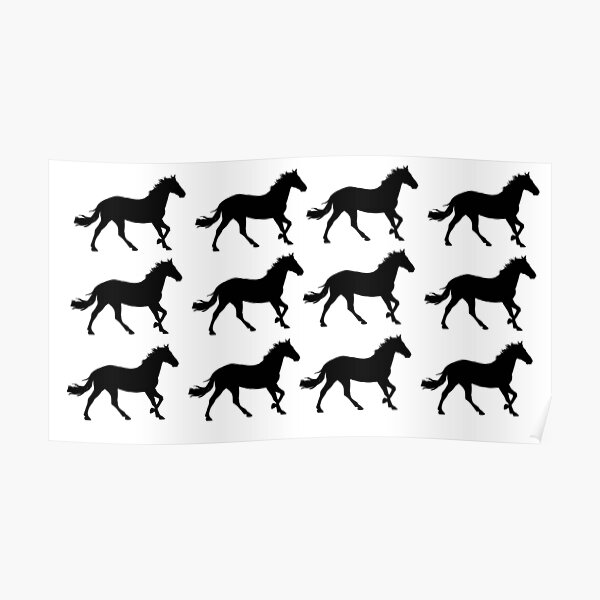 "Cantering horse silhouette " Poster for Sale by Eia01 | Redbubble