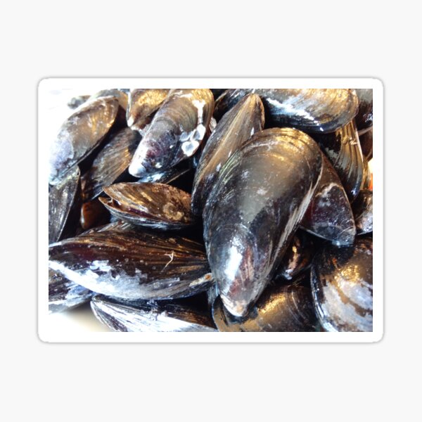 "New England Mussels" Sticker for Sale by captured-moment | Redbubble