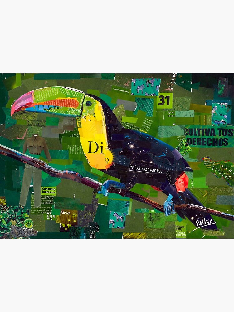 "Toucan collage" Poster for Sale by Oliva-Collage | Redbubble
