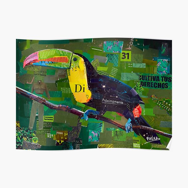 "Toucan collage" Poster for Sale by Oliva-Collage | Redbubble