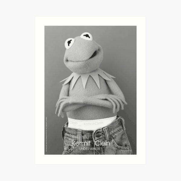 "Kermit in Bw" Kunstdruck von curtis-lasley | Redbubble