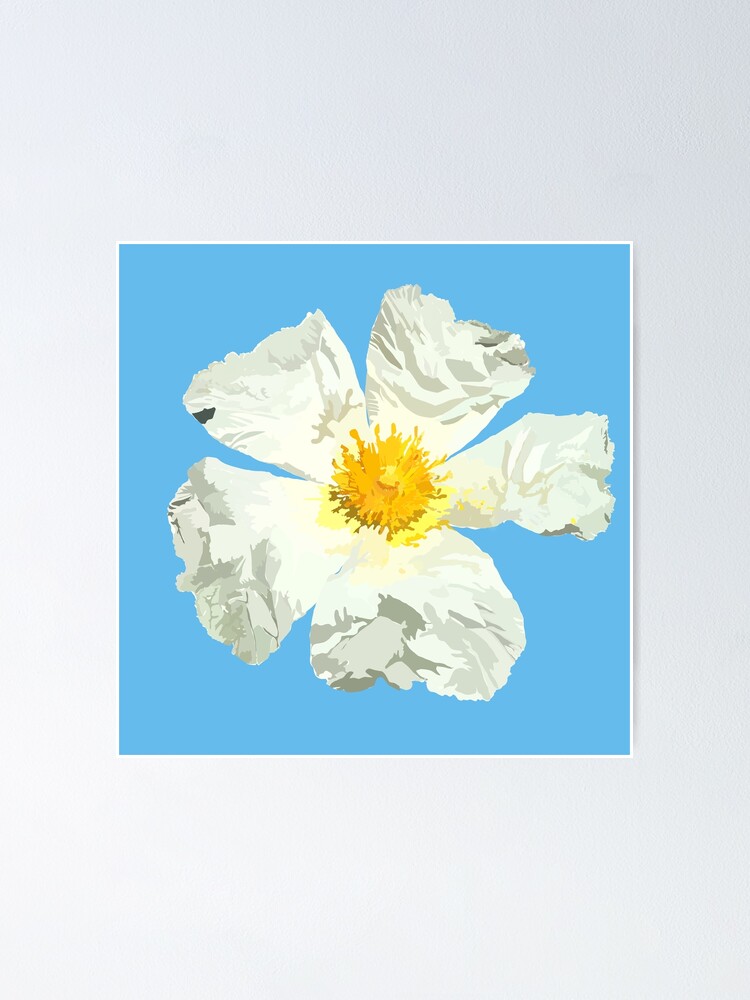"Rockrose" Poster for Sale by michdevilish | Redbubble