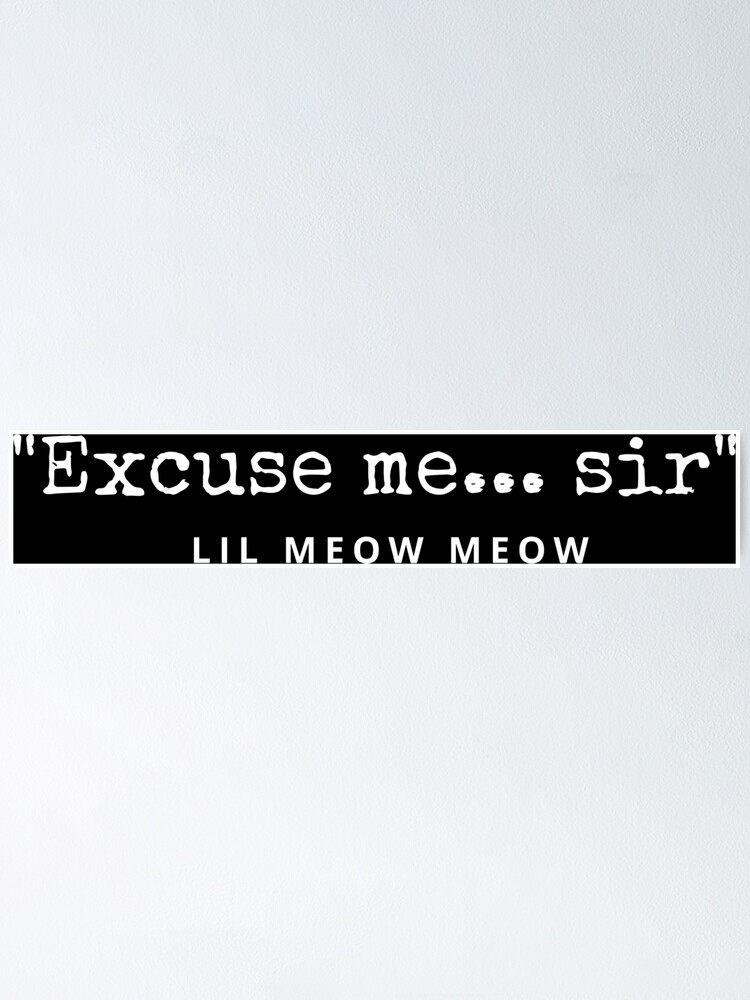 " BTS quotes, Excuse me sir - lil meow meow" Poster for Sale by ...