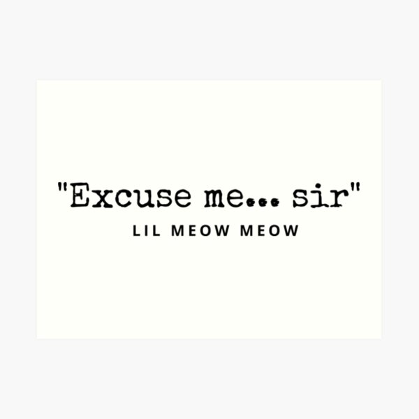 " BTS quotes, Excuse me sir... lil meow meow" Art Print for Sale by ...