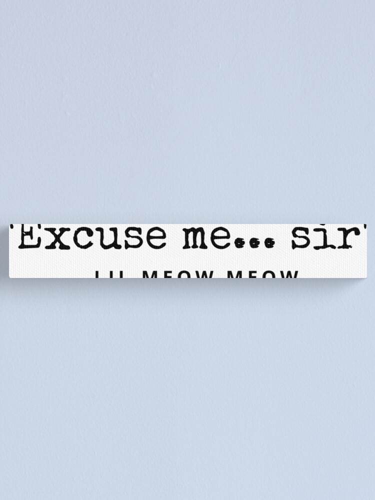 " BTS quotes, Excuse me sir... lil meow meow" Canvas Print for Sale by ...