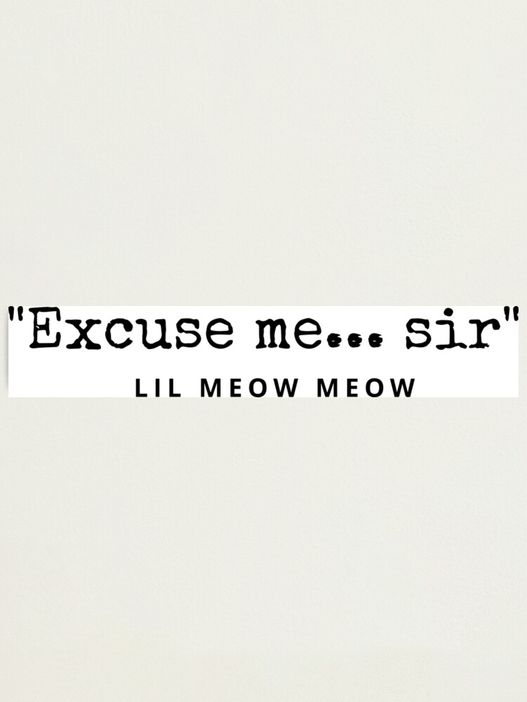 " BTS quotes, Excuse me sir... lil meow meow" Photographic Print for ...