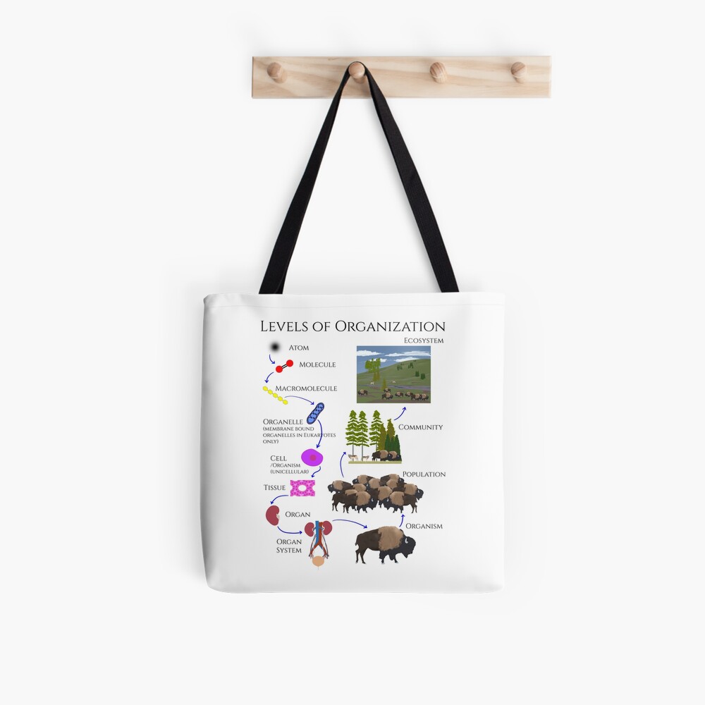 "Levels of Organization " Poster for Sale by biologysims | Redbubble