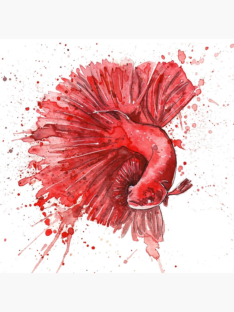 "Fighting Fish - Splatter Paint Illustration" Poster for Sale by ...