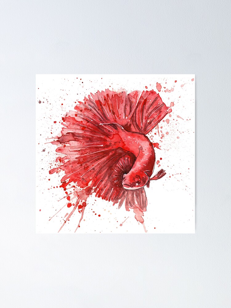 "Fighting Fish - Splatter Paint Illustration" Poster for Sale by ...