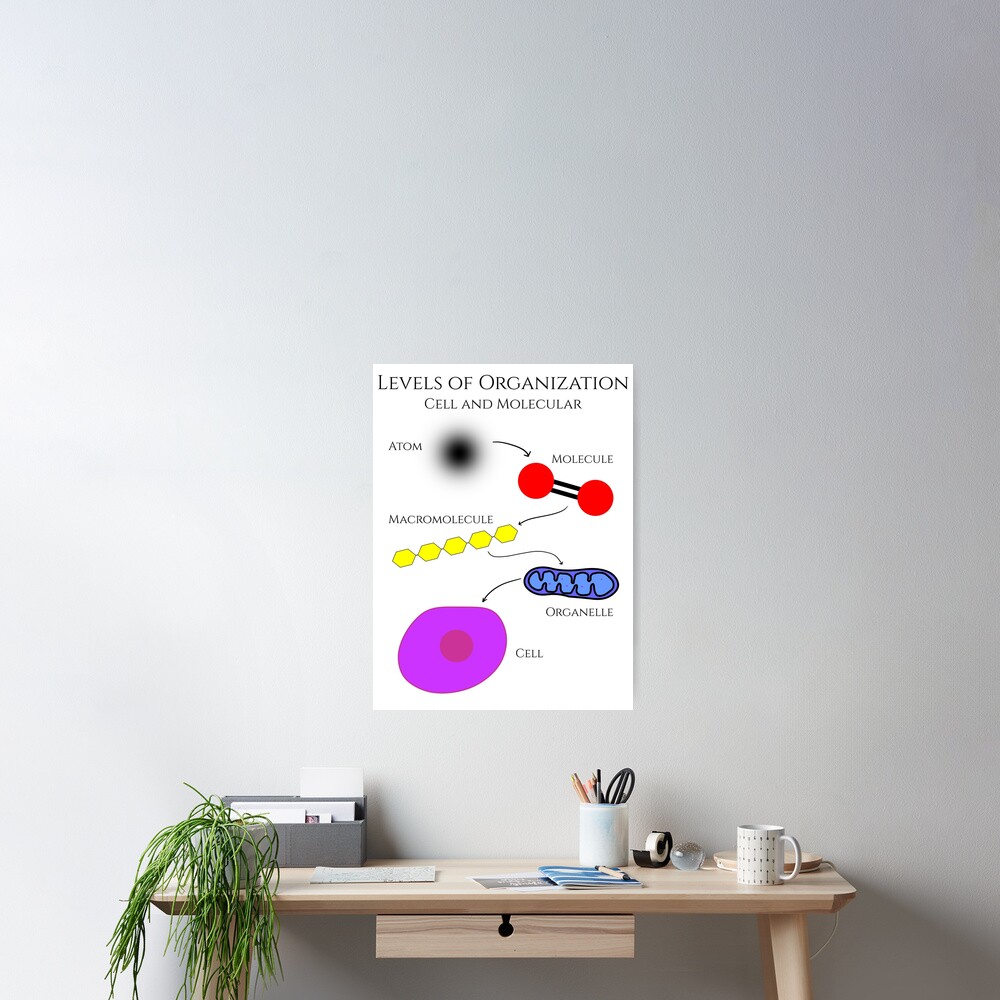 "Levels of Organization, Cell and Molecular Biology" Sticker for Sale ...
