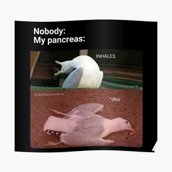 "My Pancreas Meme" Poster for Sale by CatGirl101 | Redbubble