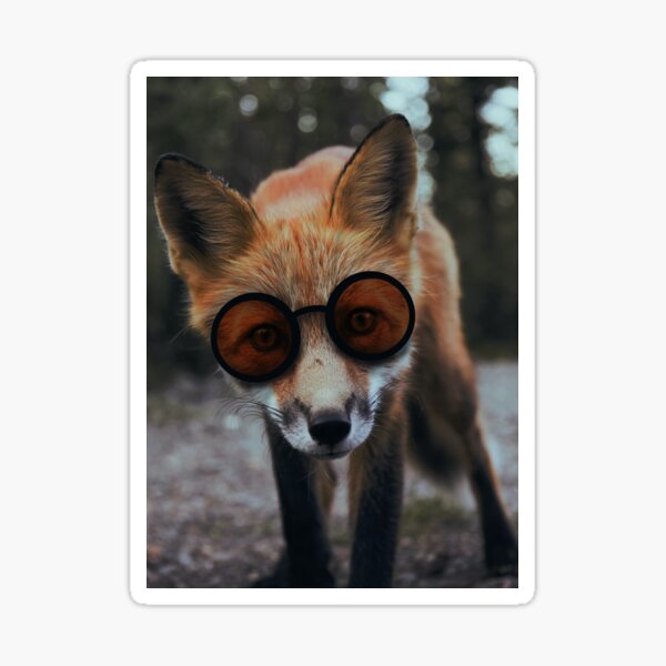 "Fox with glasses" Sticker for Sale by Akash9790 | Redbubble