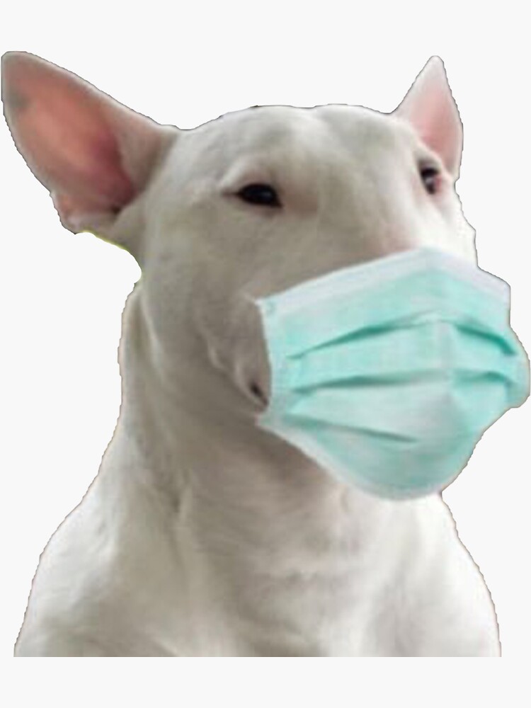 "Walter Quarantined Mask" Sticker for Sale by RarePNGs | Redbubble