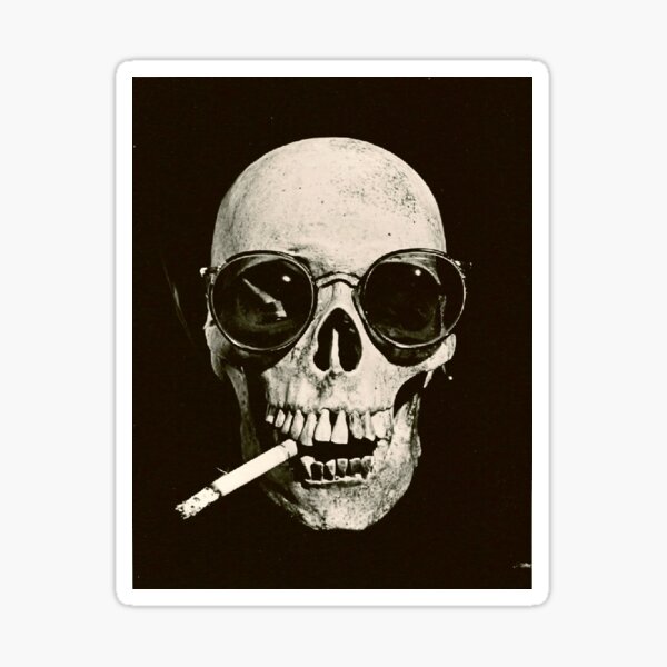 "Warren Zevon Skull" Sticker for Sale by Michele1968 | Redbubble