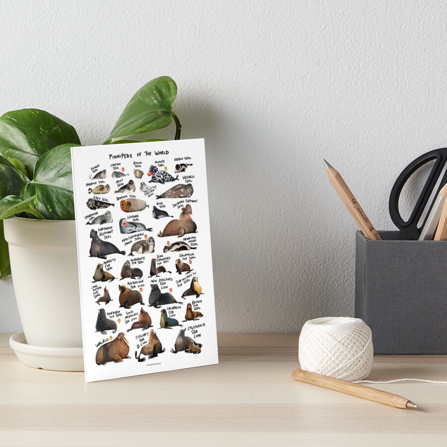 "Pinnipeds of the World" Poster for Sale by rohanchak | Redbubble