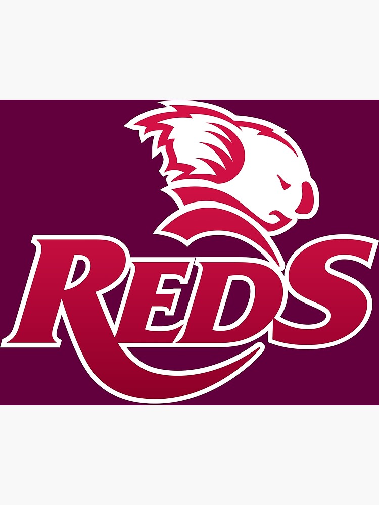 "QLD reds rugby" Poster for Sale by golbergstan | Redbubble