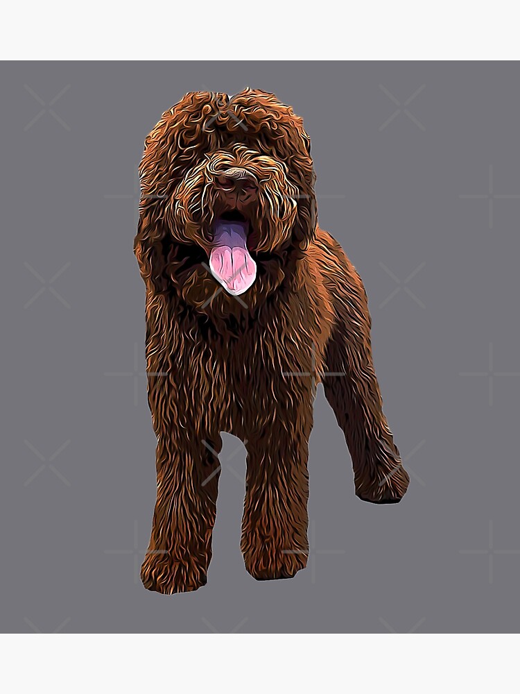 "Labradoodle Chocolate Brown" Poster by Elarex | Redbubble