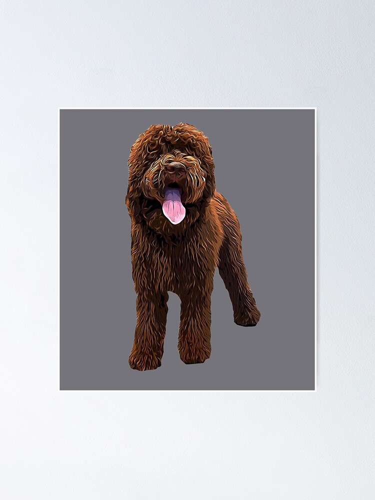 "Labradoodle Chocolate Brown" Poster by Elarex | Redbubble
