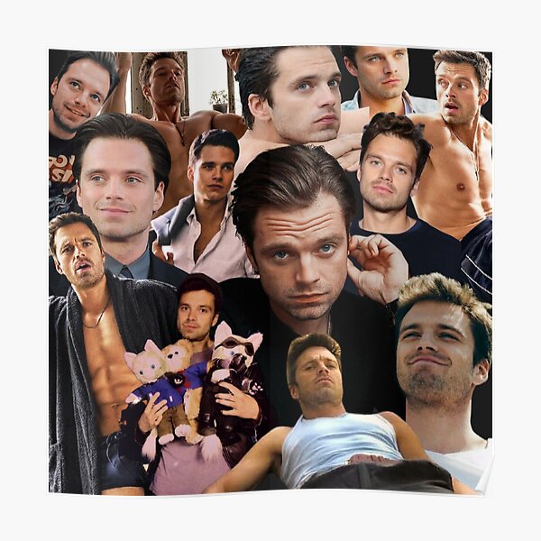 "Sebastian Stan collage " Poster for Sale by lizzyrivue | Redbubble