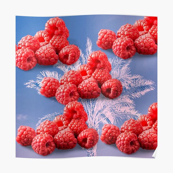 "Red raspberry on an amazing blue fond" Poster by Mariocii | Redbubble