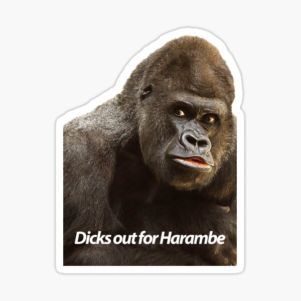 Dicks Out For Harambe Stickers | Redbubble