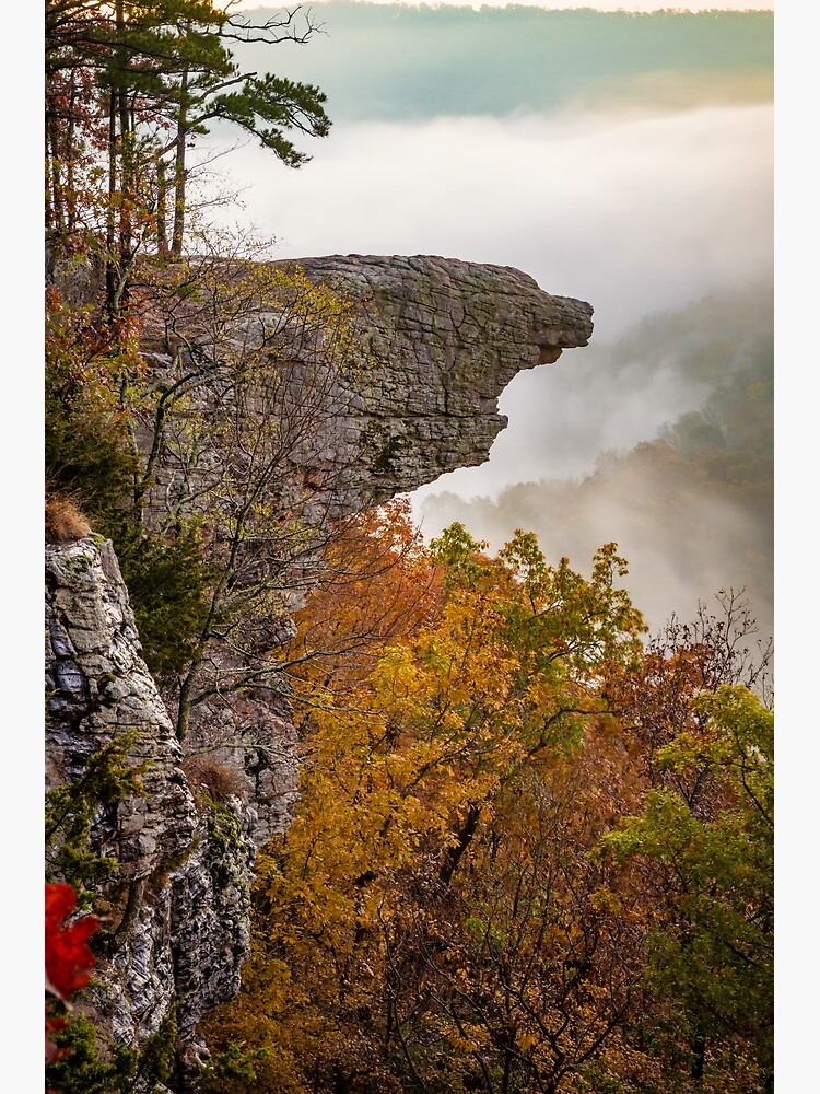 "Hawksbill Crag at Whitaker Point - Upper Buffalo Wilderness" Poster by ...