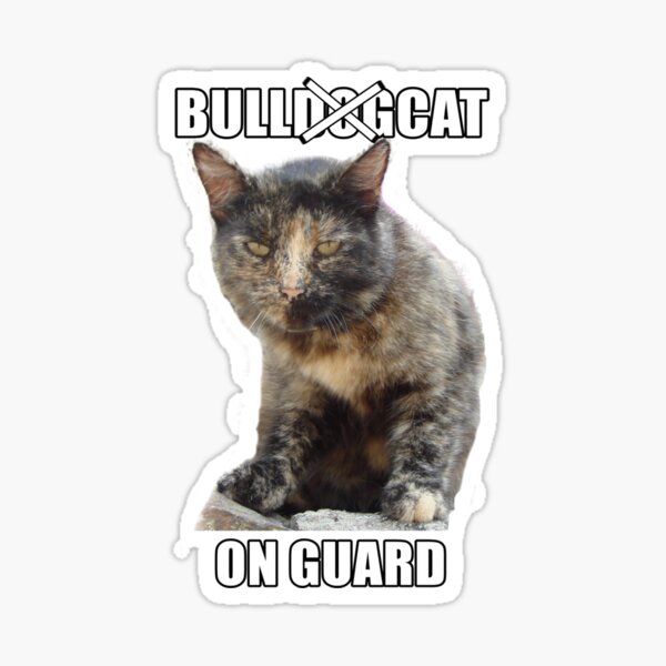 "Bulldog not, bullcat guardian" Sticker for Sale by danny211 | Redbubble